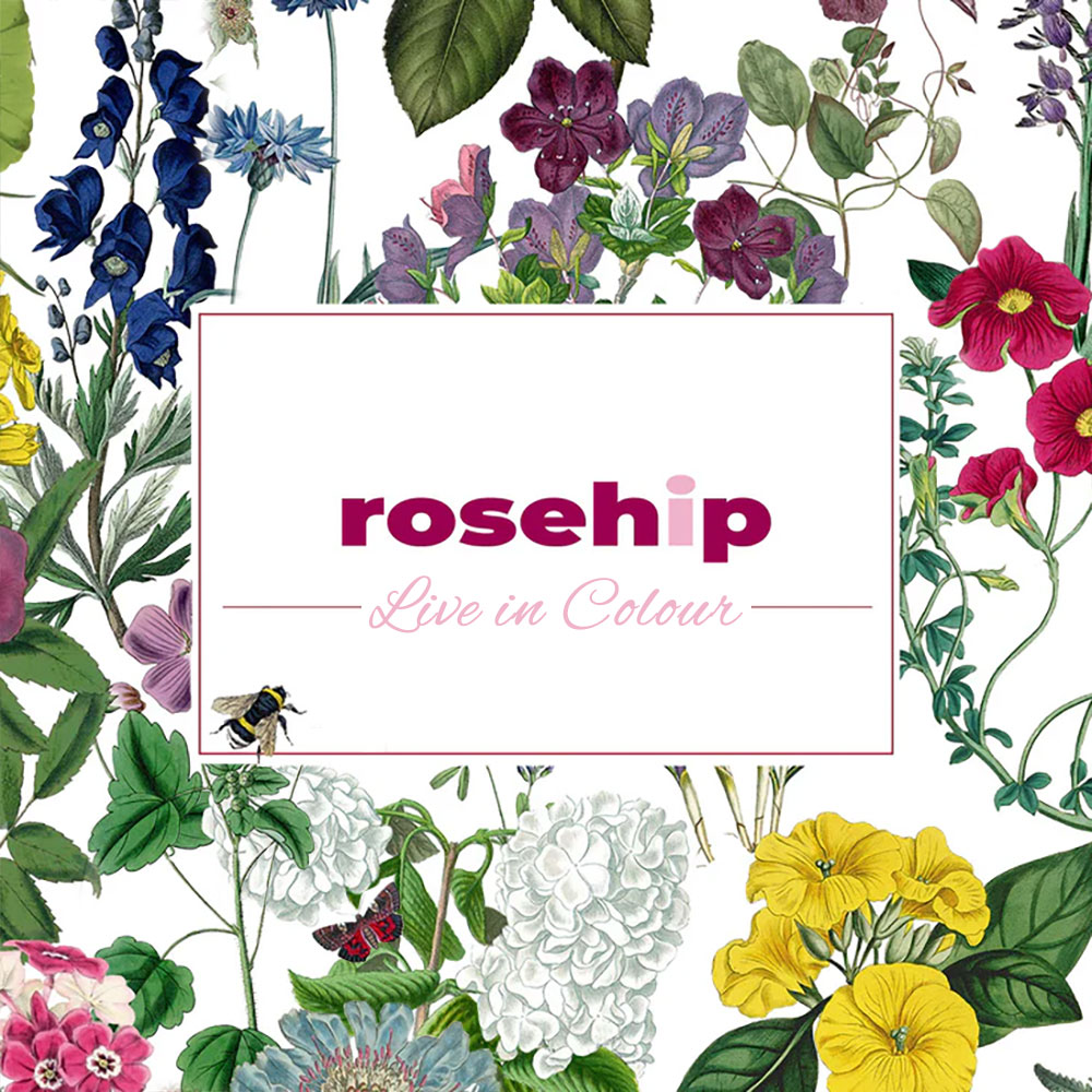 Original Duckhead Umbrella Company | Brolliesgalore