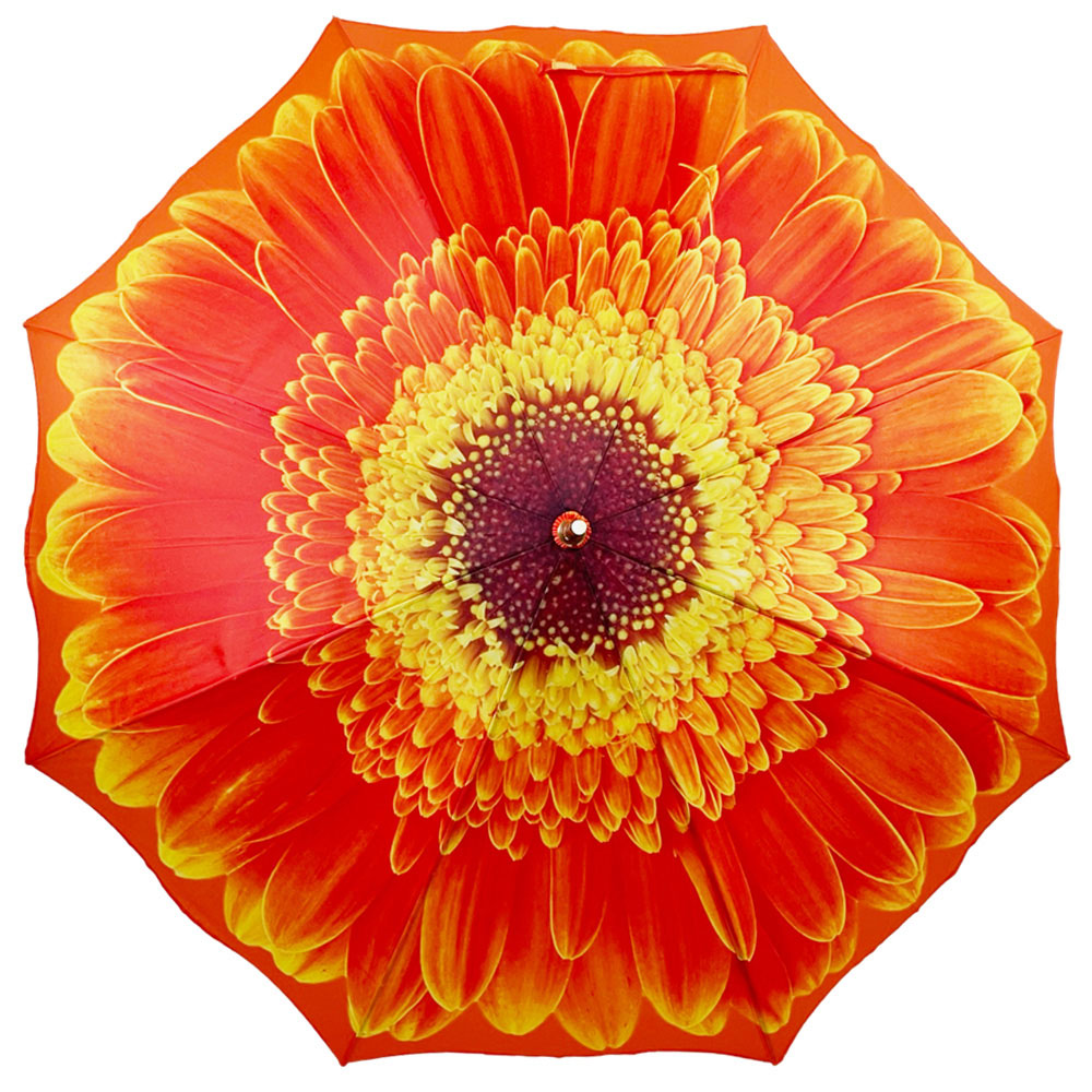 UK Umbrella Shop for Quality Umbrellas | Brolliesgalore