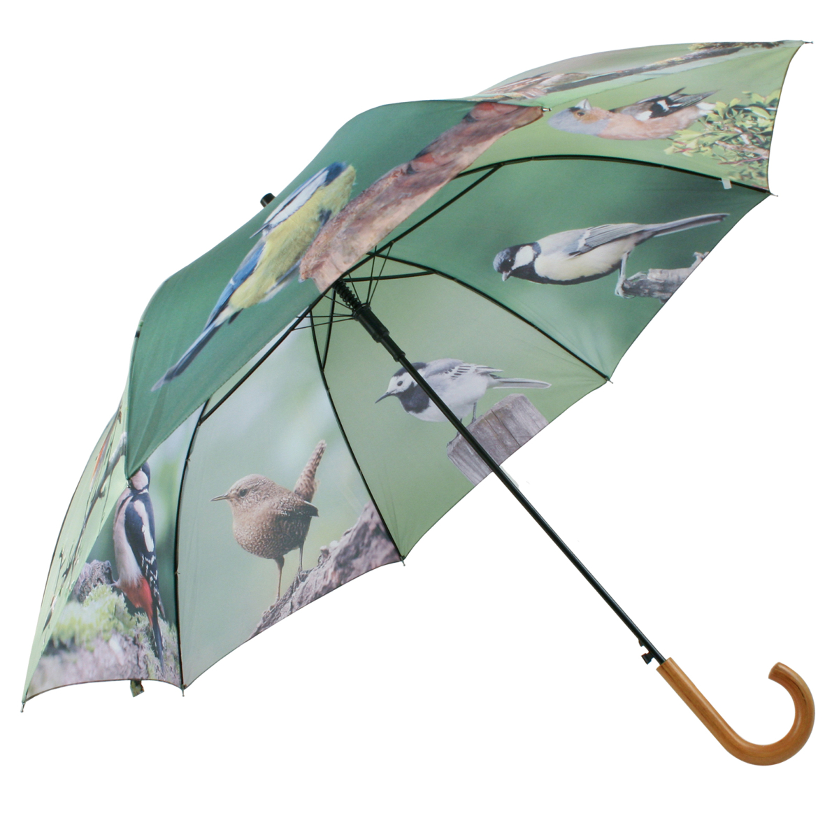 Large Garden Birds Umbrella by Fallen Fruits | Brolliesgalore