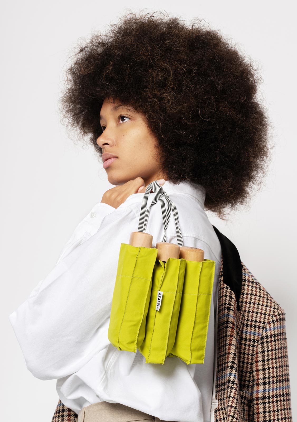 Chartreuse Folding Compact Umbrella by Anatole of Paris – SALVADOR | Brolliesgalore