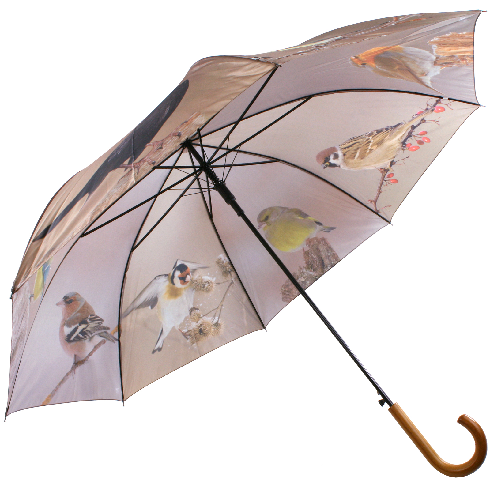 Autumn Birds Umbrella by Fallen Fruits | Brolliesgalore