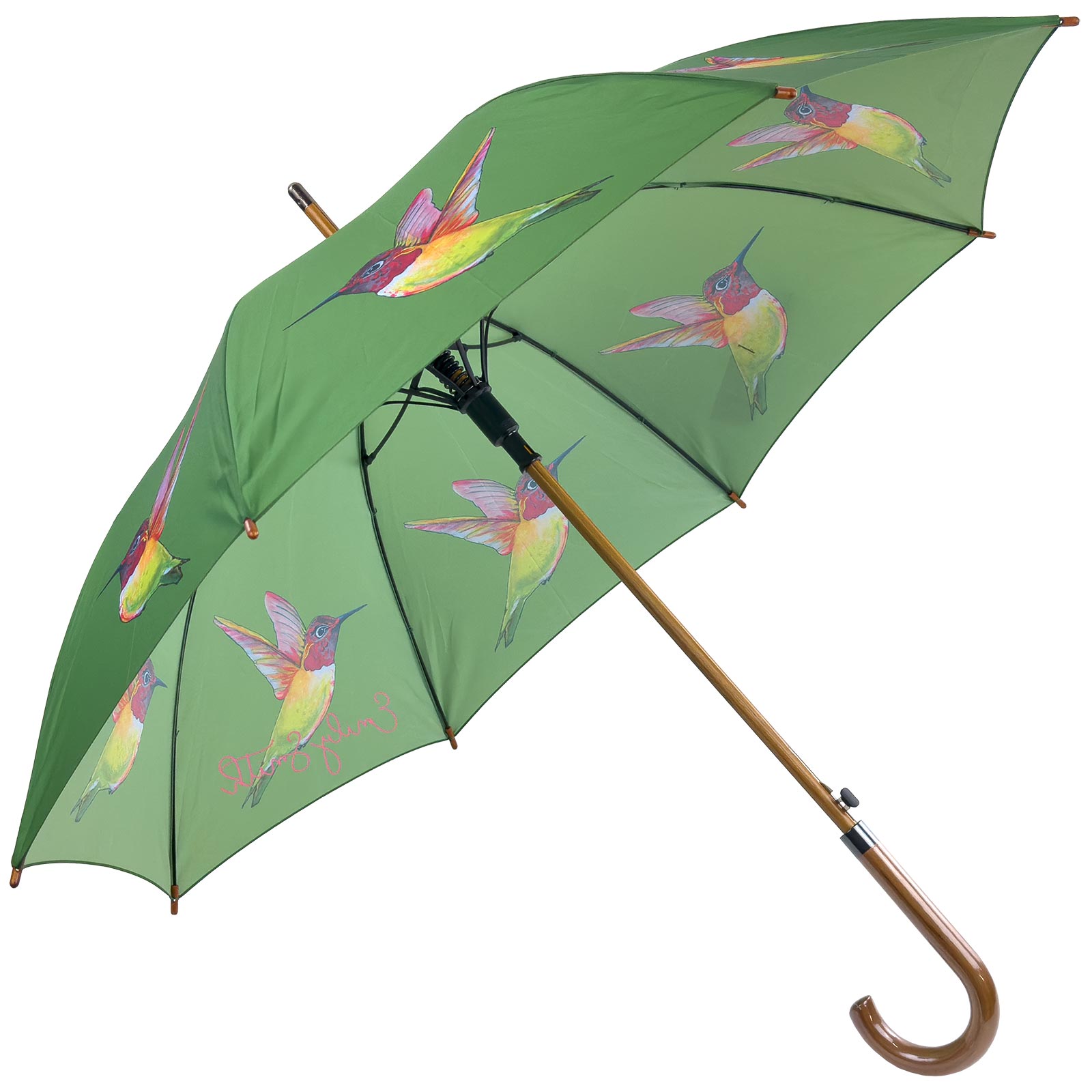Emily Smith Umbrella - Hermione the Hummingbird | Brolliesgalore